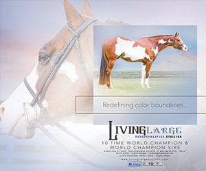 Physitis in Young Horses | Equine Chronicle