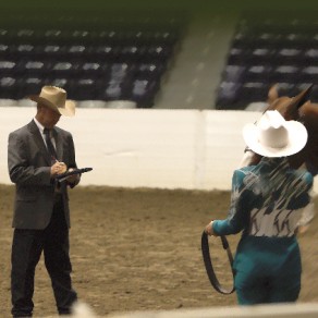 Showing It Off – Polishing Showmanship Skills | Equine Chronicle