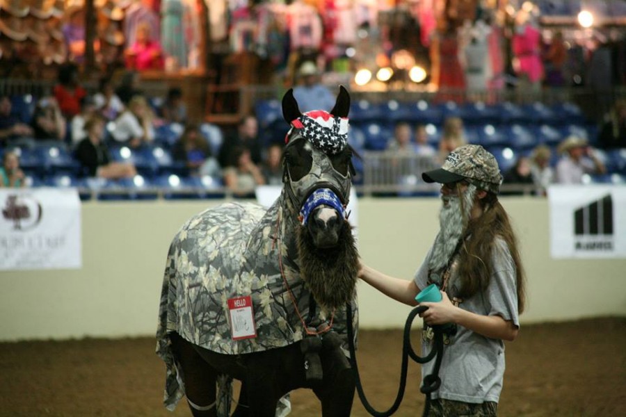 Day 11 Results and Photos From 2014 Pinto World Show | Equine Chronicle