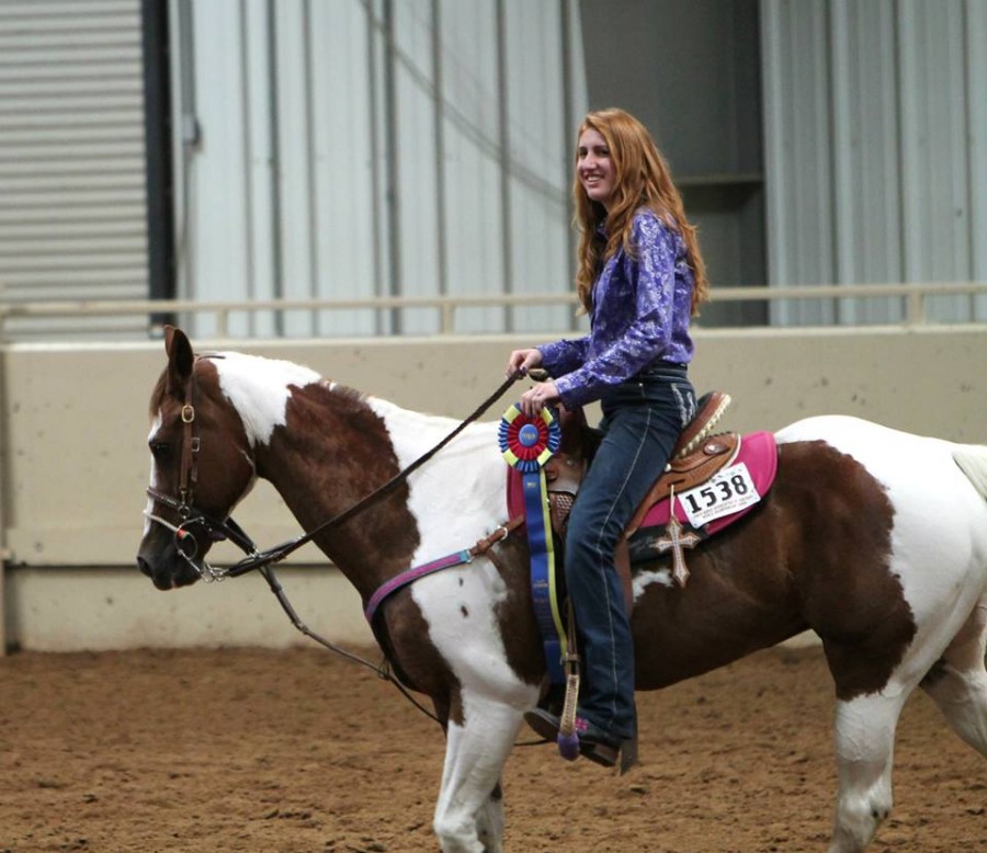 Day 9 Results and Photos From 2014 Pinto World Show | Equine Chronicle