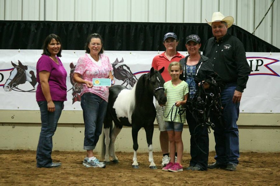 Day 3 Photos and Results From 2014 Pinto World Show | Equine Chronicle