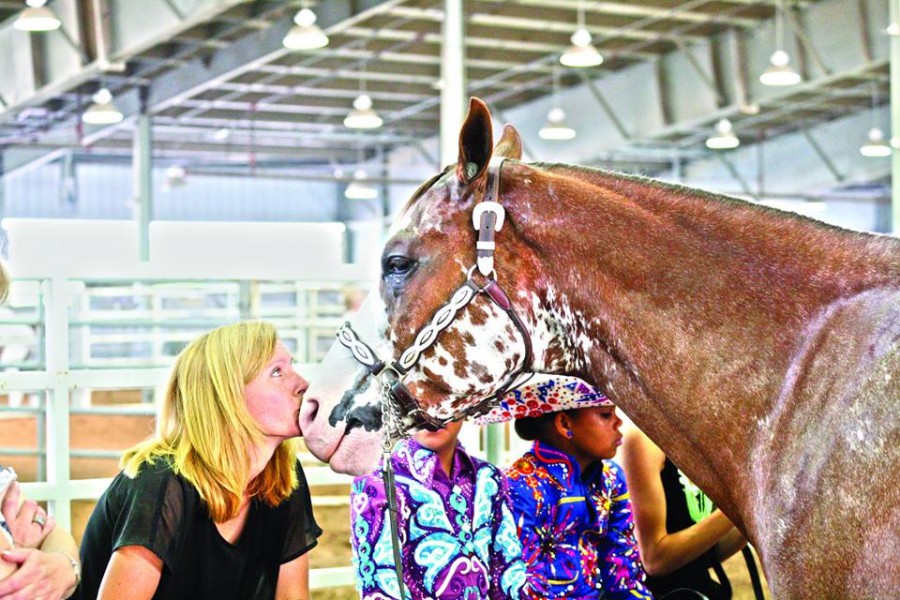 Day 9 Results and Photos From 2014 Pinto World Show | Equine Chronicle