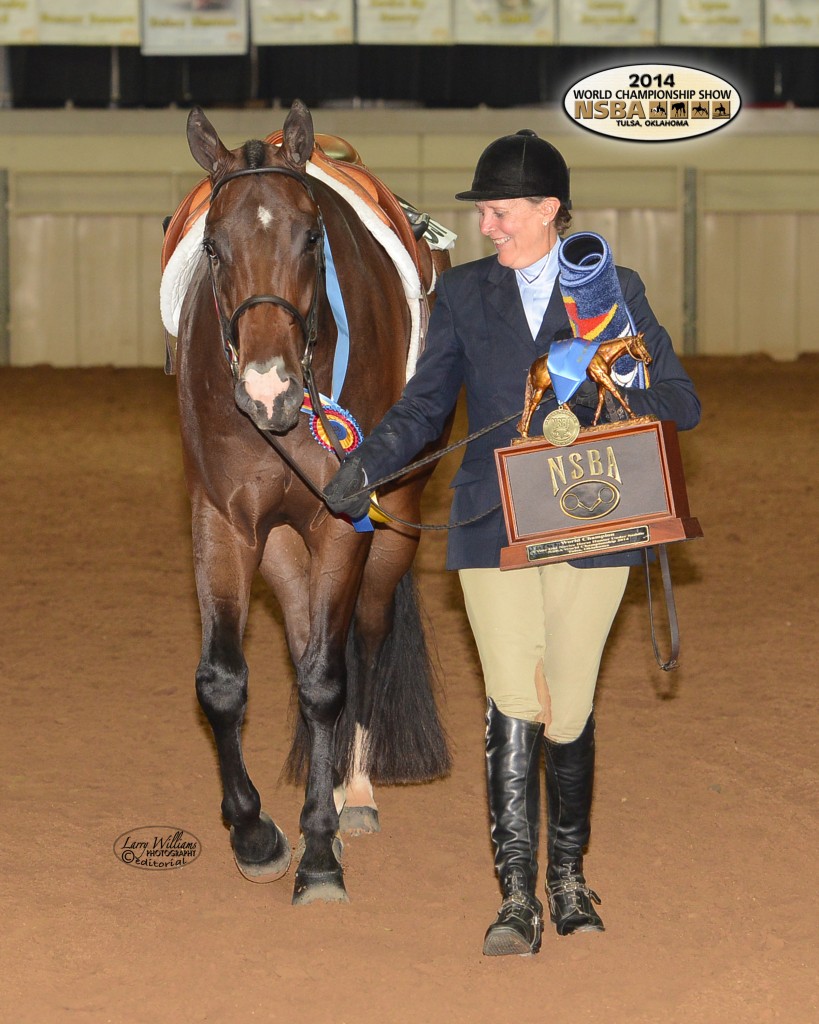 Tragedy Gives Way to Triumph at 2014 NSBA World Show For Spratto Barn ...