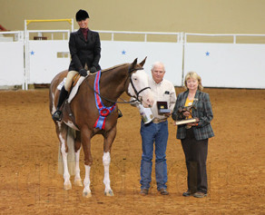 2014 APHA World Show Classic and Masters Sr. HUS Wins Go to Coleen Bull ...