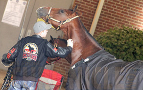 Are You Ready For Winter? Part 5- Keeping Horses Fit During the Off ...