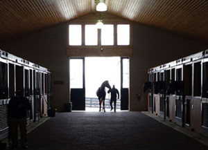 How to Reopen Your Barn After Quarantine | Equine Chronicle