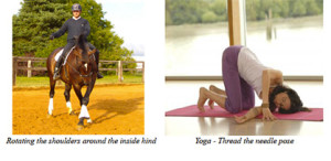 Core Strengthening Exercises… For Your Horse! | Equine Chronicle