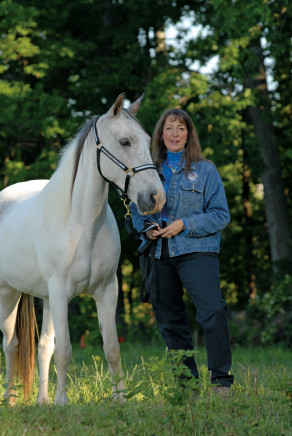 The Inside Scoop on Microchipping Your Horse | Equine Chronicle