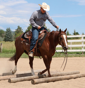 Ranch Horse Riding Fundamentals – Part 2 | Equine Chronicle