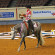 Equine Chronicle