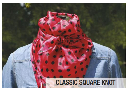 How to Tie the Wild Rag – Tips from the Experts | Equine Chronicle