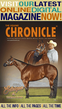 Equine Chronicle