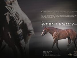Equine Chronicle