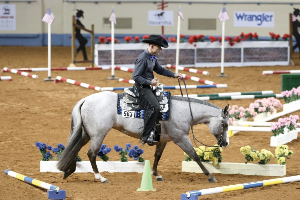 Turning Technique – Teaching The Turn | Equine Chronicle
