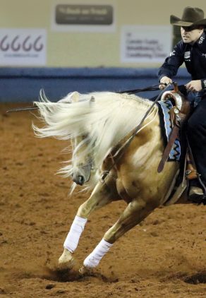 Turning Technique – Teaching The Turn | Equine Chronicle