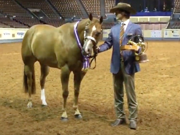 First Set of World Champions Crowned at 2020 AQHA Youth World Show ...
