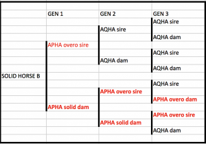 Three Paths to APHA Regular Registry, Thanks to New Rule Change ...