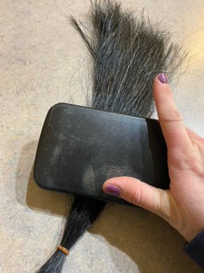 The Kindest Cut- Preserving Memories in Horsehair | Equine Chronicle