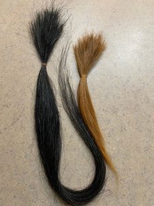 The Kindest Cut- Preserving Memories in Horsehair | Equine Chronicle