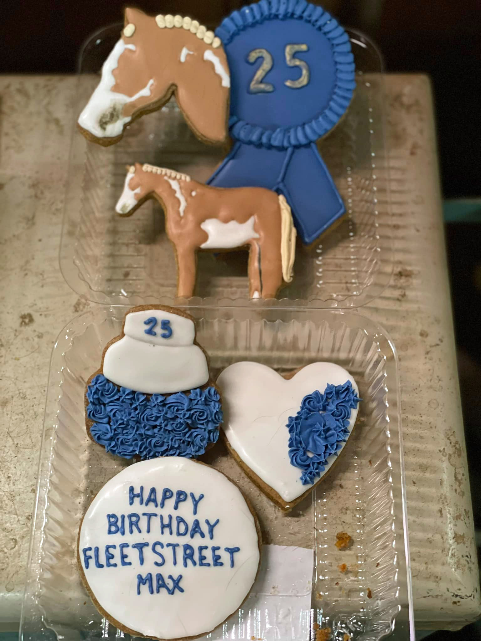 Happy 27th Birthday to Breyer Horse and APHA Legend Fleetstreet Max ...