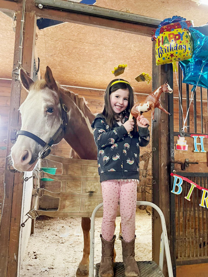 Happy 27th Birthday to Breyer Horse and APHA Legend Fleetstreet Max ...