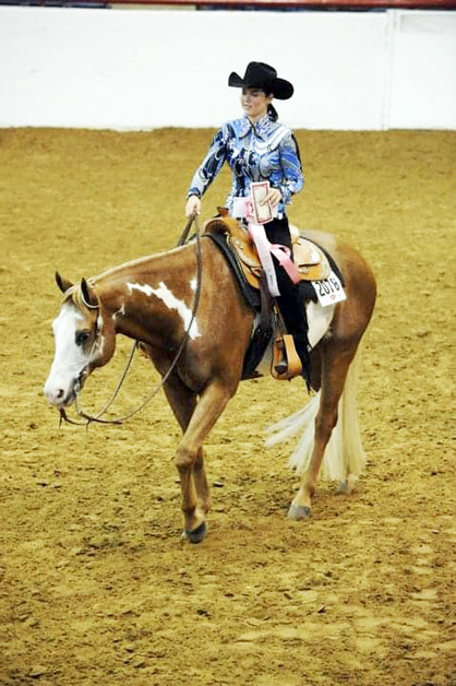 Happy 27th Birthday to Breyer Horse and APHA Legend Fleetstreet Max ...