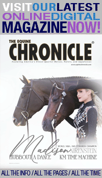Equine Chronicle | Archive | Show Results & Gallery