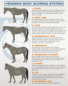 Henneke Body Scoring System | Equine Chronicle