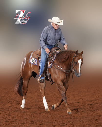 A Reason to Celebrate: AQHA Working Western Rail | Equine Chronicle