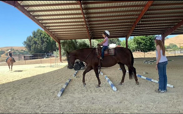 Wheeler Performance Horses’ Community Outreach Sparks a Renewed Love ...