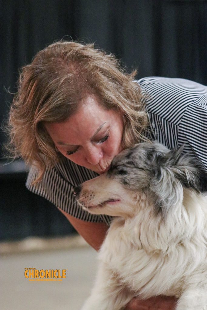 Around the Rings at the 2023 APHA World Show – with the G-Man! | Equine ...