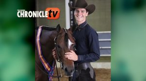 Equine Chronicle | Archive | Show Results & Gallery | 4