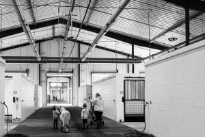 World Equestrian Center – Ocala Open to Equine Evacuees and Owners ...