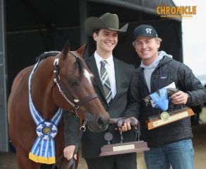 Equine Chronicle | Archive | Show Results & Gallery | 8