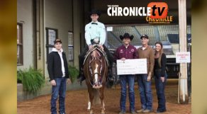 Equine Chronicle | Archive | Show Results & Gallery
