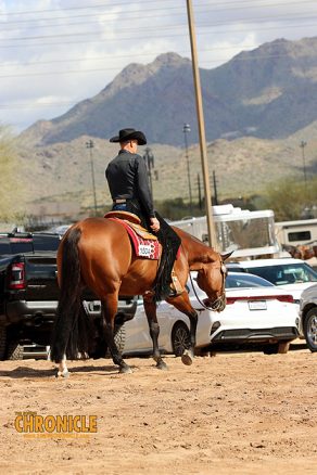 Around the Rings – 2024 Arizona Sun Circuit | Equine Chronicle