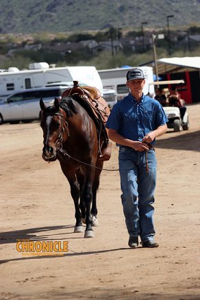 Around the Rings – 2024 Arizona Sun Circuit | Equine Chronicle