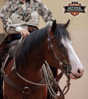 2024 APHA Eastern National Championship Forms Online | Equine Chronicle