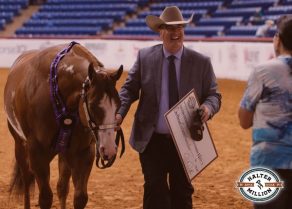 2024 APHA WCHA Halter Million Schedule Now Available | Equine Chronicle