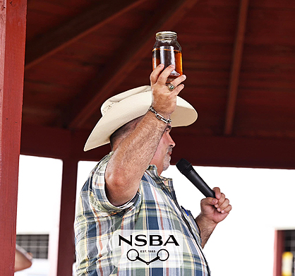 Berrien Auction Raises $45,000 Plus for NSBA Crisis Fund | Equine Chronicle