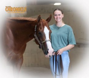 Equine Chronicle | Archive | Show Results & Gallery | 2