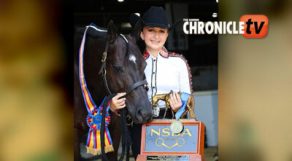 Equine Chronicle | Archive | Show Results & Gallery | 4