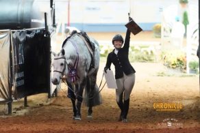 2024 AQHA World Show Entry and Stall Proofing Lists Available | Equine ...