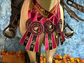 ShoMe Hosts Inaugural Championship Show | Equine Chronicle