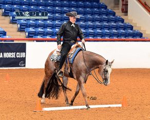 Around the Rings – 2024 Appaloosa World Show Recap | Equine Chronicle