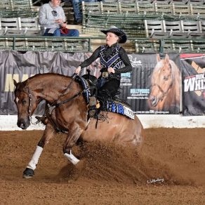 Six-Figure Bids Break Records at NRHA Markel Futurity Sales | Equine ...