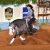 APHA Stallion Carries Kaci O’Rourke to Historic 2024 NRHA Futurity Win ...