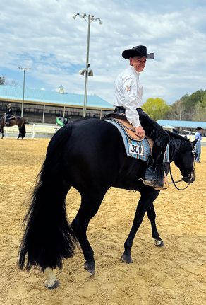 Around the Rings with the G-Man – 2025 March to Virginia | Equine Chronicle