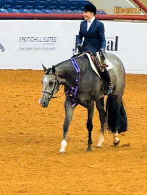 Around the Rings – 2025 APHA World Show with the G-Man | Equine Chronicle