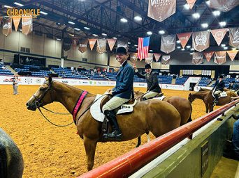 Around the Rings – 2025 APHA World Show with the G-Man | Equine Chronicle